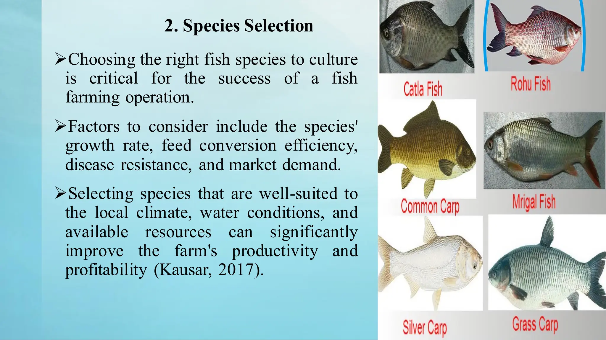 02. BASIC PRINCIPLES OF FISH CULTURE .pdf