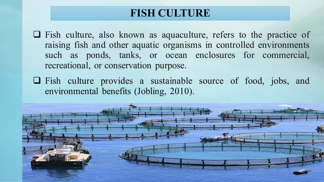 02. BASIC PRINCIPLES OF FISH CULTURE .pdf