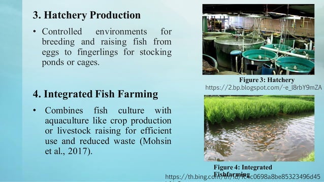 02. BASIC PRINCIPLES OF FISH CULTURE .pdf