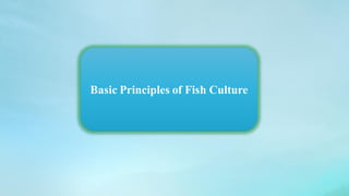 02. BASIC PRINCIPLES OF FISH CULTURE .pdf