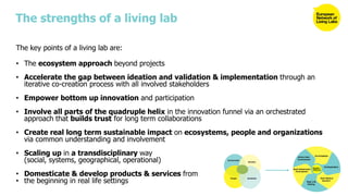 Living Lab concept, areas of work, workgroups, and more | PDF
