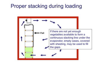 Cold room stacking cold chain management | PPT