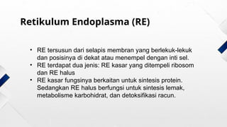 Struktur dan Fungsi-fungsi dari struktur sel | PPTX