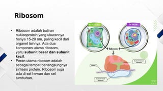 Struktur dan Fungsi-fungsi dari struktur sel | PPTX