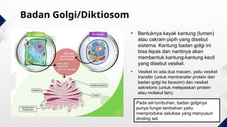 Struktur dan Fungsi-fungsi dari struktur sel | PPTX