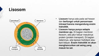 Struktur dan Fungsi-fungsi dari struktur sel | PPTX