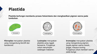 Struktur dan Fungsi-fungsi dari struktur sel | PPTX