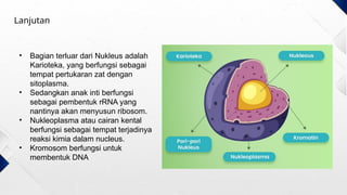 Struktur dan Fungsi-fungsi dari struktur sel | PPTX