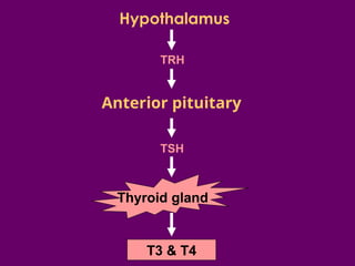 Thyroid Hormones and anti thyroid drugs.ppt