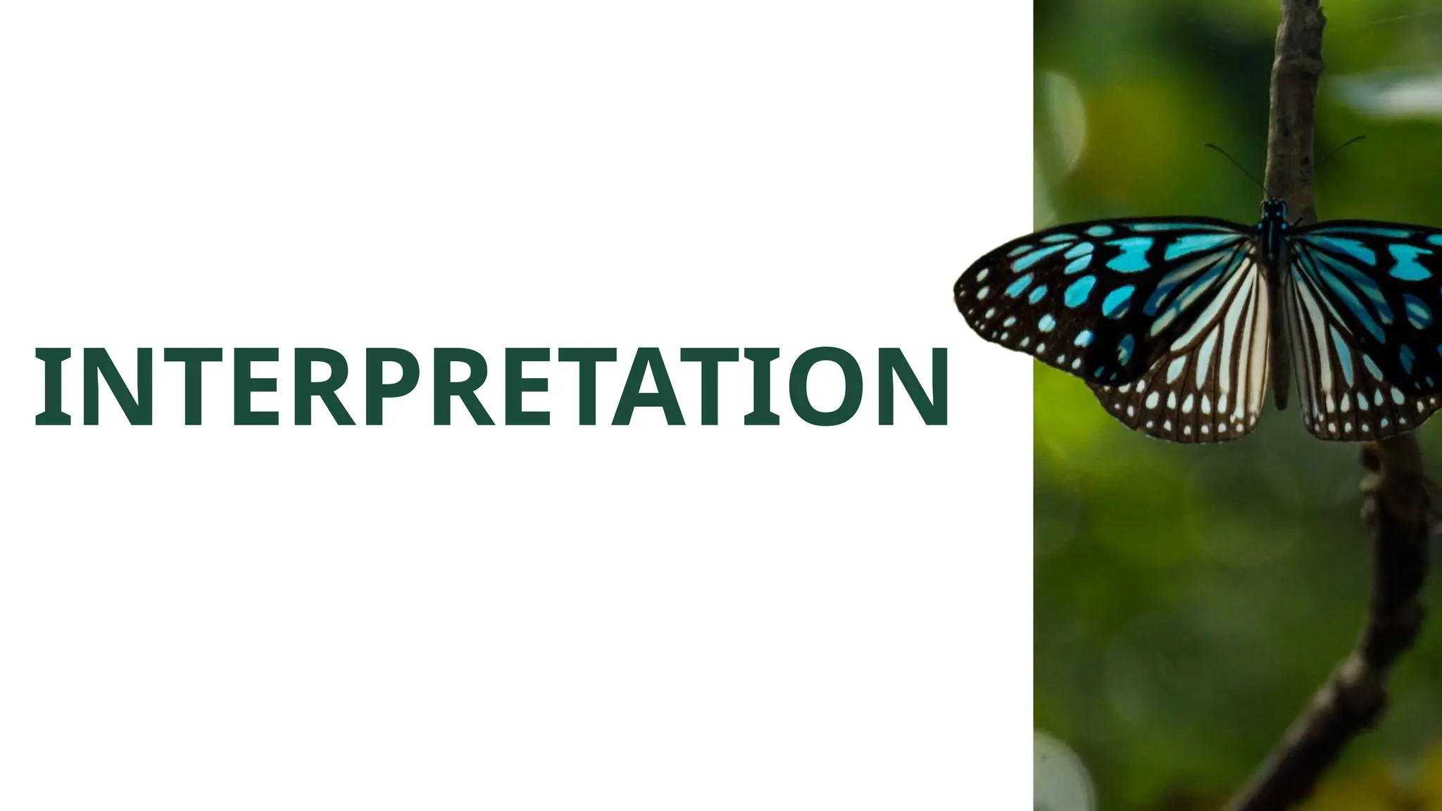 02. 5min. Personality Test (LOGB).phvgptx | PPT