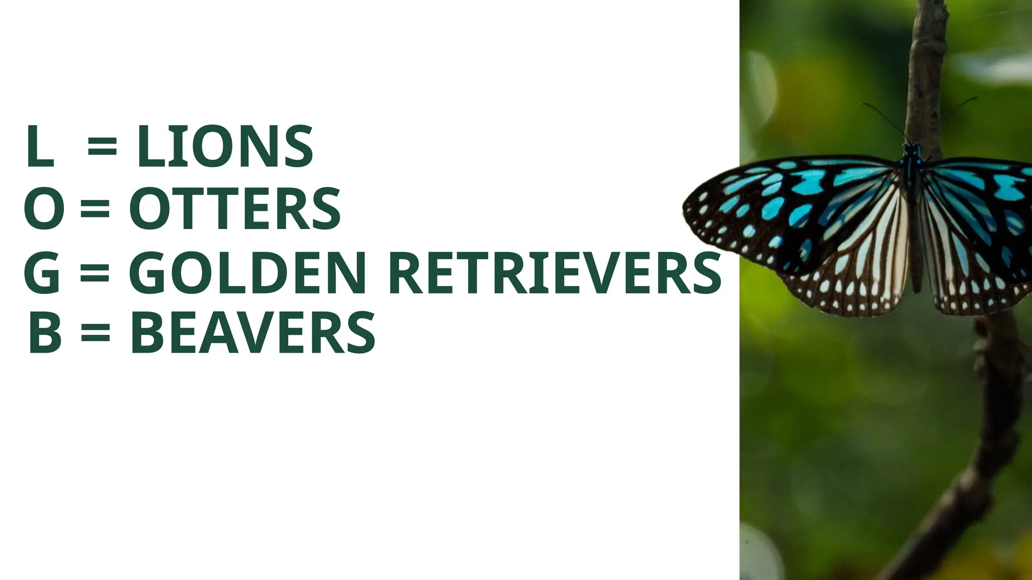 02. 5min. Personality Test (LOGB).phvgptx | PPT