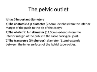 Anatomy of female pelivs introduction for ob/gyne wardpptx | PPTX