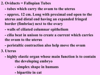 012345678910.female-reproductive-system.ppt