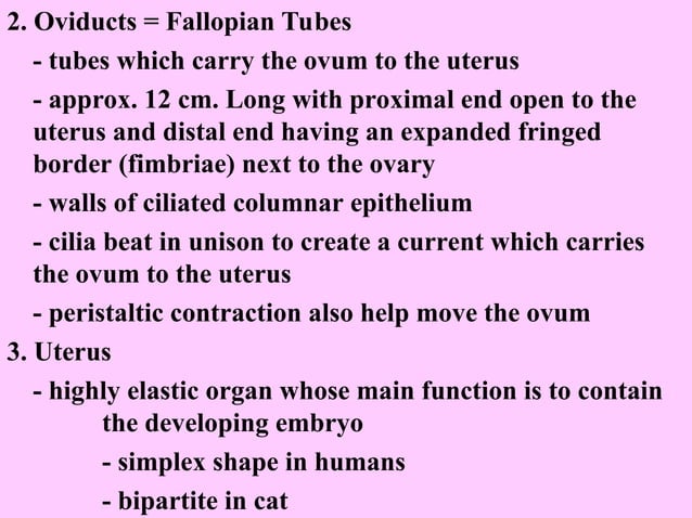 012345678910.female-reproductive-system.ppt