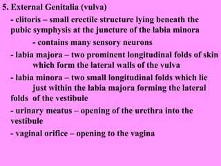 012345678910.female-reproductive-system.ppt