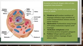 siklus kematian sel pada manusia dan mekanisme | PPTX