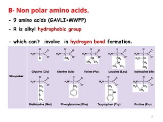 02. Amino acids & Protein.power point ptx | PPTX