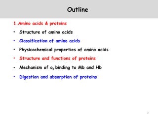 02. Amino acids & Protein.power point ptx | PPTX