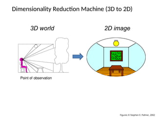 Comprehensive Overview of Projective Geometry and Camera Models in ...
