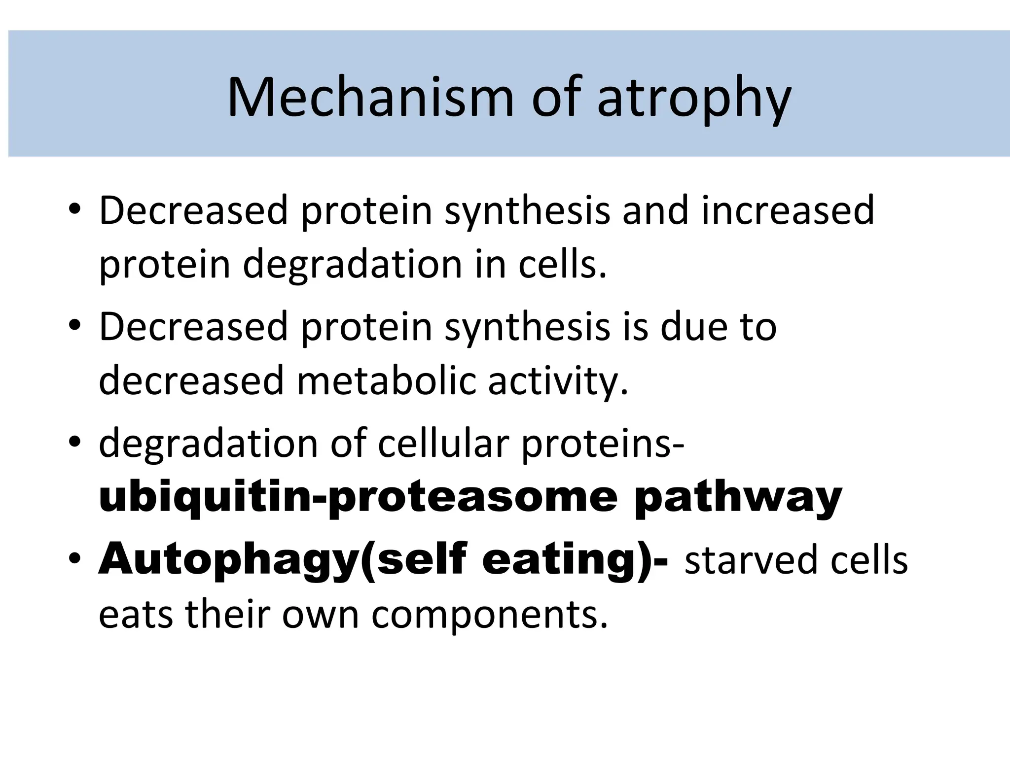 01.Cellular Adaptations in human body.pdf