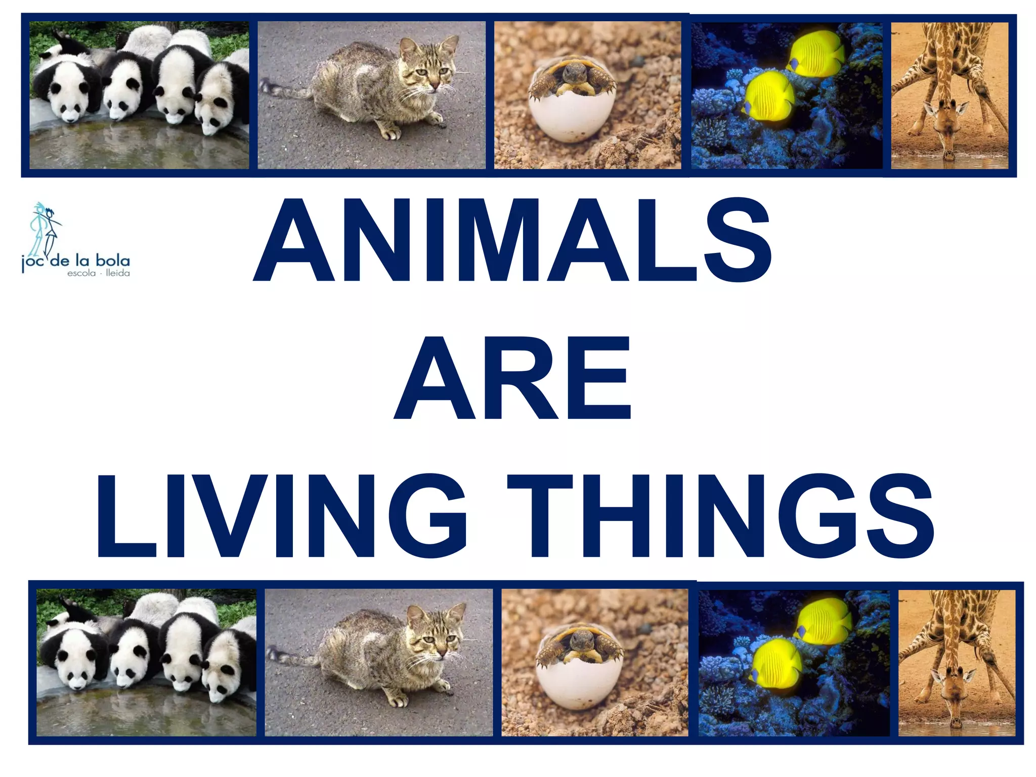 ANIMALS ARE LIVING THINGS | PPS