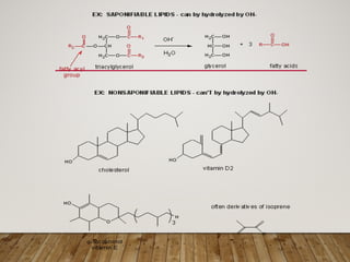 02-Penjelasan Biomolekul dalam Biologi .pdf