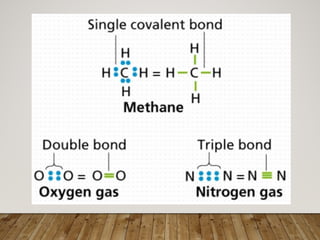 02-Penjelasan Biomolekul dalam Biologi .pdf