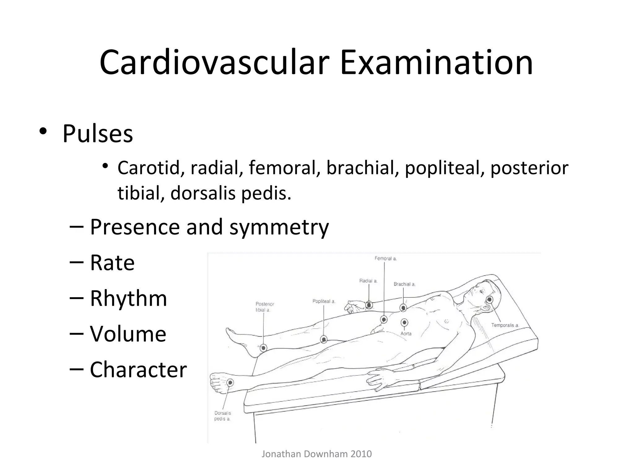 Cardiovascular examination | PPTX