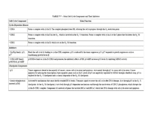 02 Cat. Neoplasia | PPT | Cancer | Diseases and Conditions