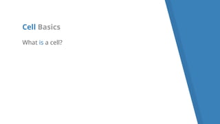 Cell Theory Biology PowerPoint Presentation | PPTX