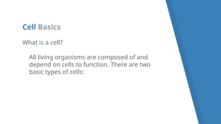 Cell Theory Biology PowerPoint Presentation | PPTX