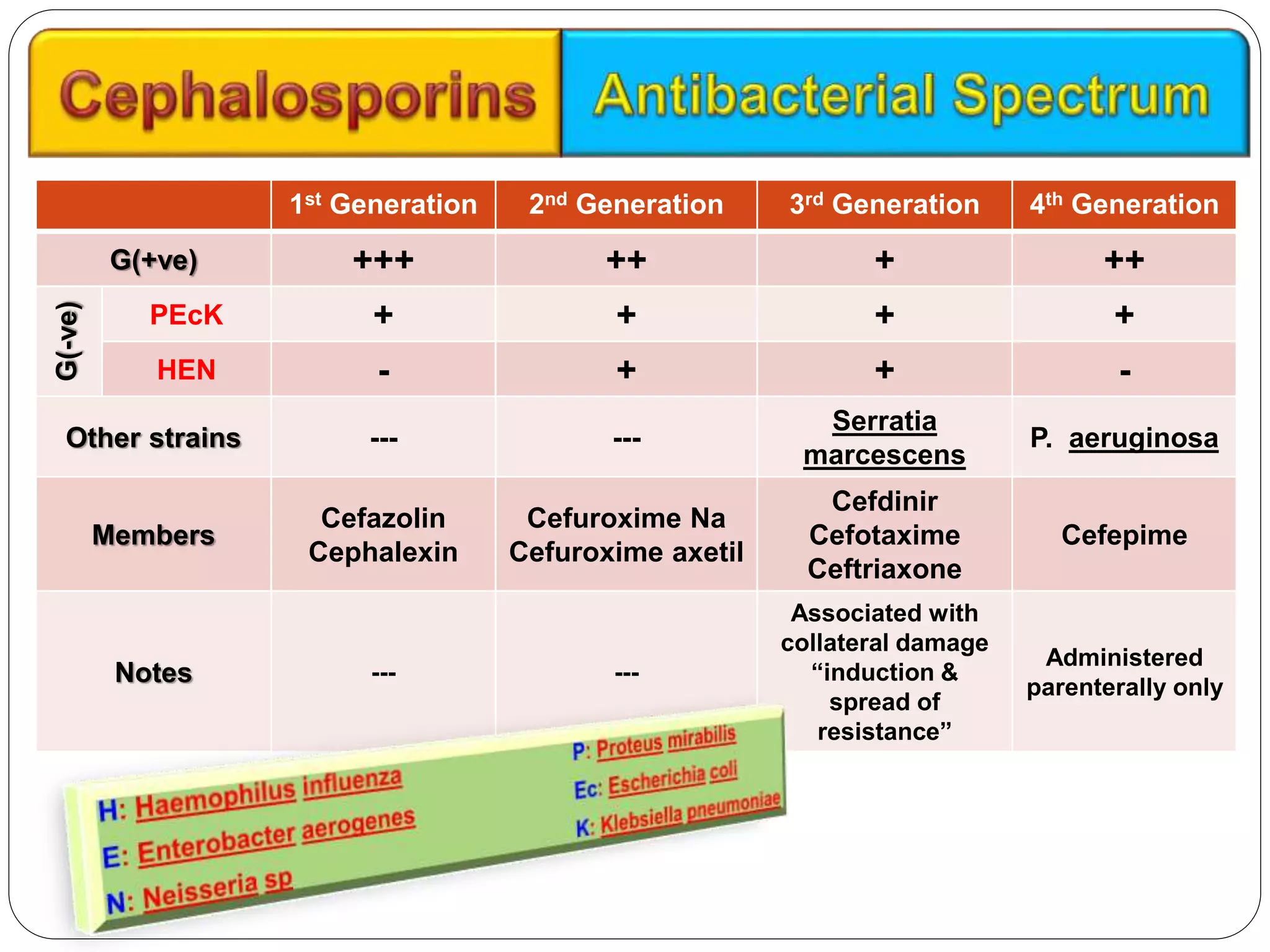 02 cell wall inhibitors (1) | PPTX