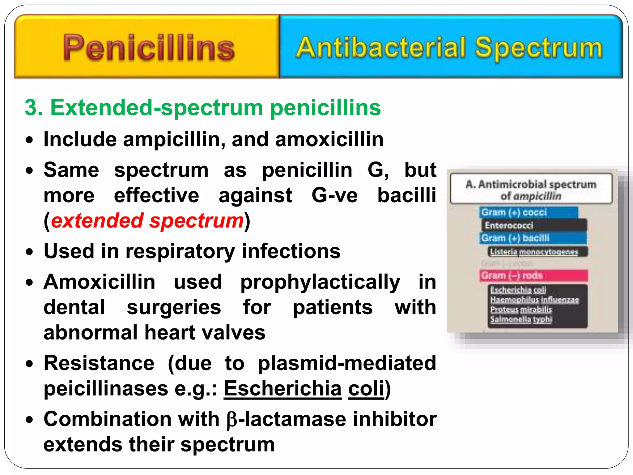 02 cell wall inhibitors (1) | PPTX