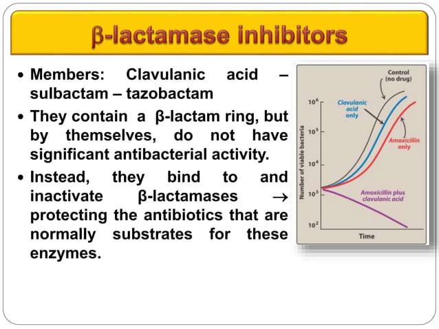 02 cell wall inhibitors (1) | PPT