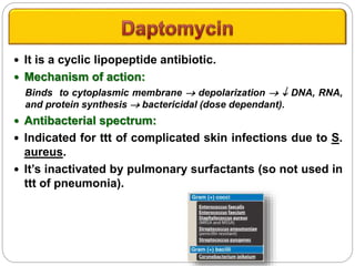 02 cell wall inhibitors (1) | PPT