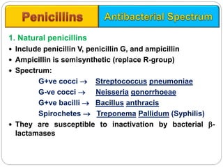 02 cell wall inhibitors (1) | PPT