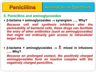 02 cell wall inhibitors (1) | PPTX