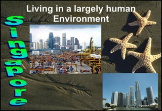 02 Chap 3 The Physical And Human Environment (Jan 08) | PPT