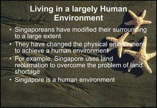 02 Chap 3 The Physical And Human Environment (Jan 08) | PPT