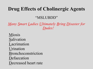 Cholinergic drugs | PPTX