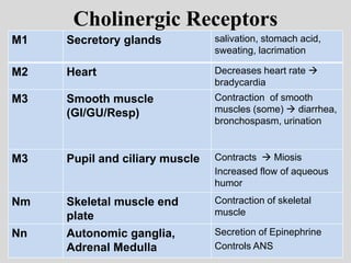 Cholinergic drugs | PPTX