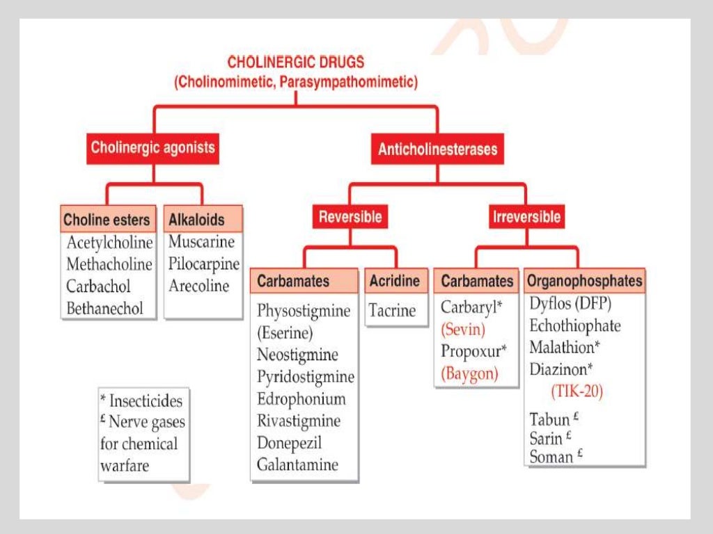 Cholinergic drugs