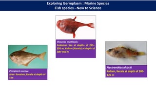 REGIONAL WORKSHOP ON FISHERIES AND MARINE GENETIC RESOURCES AND THEIR ...