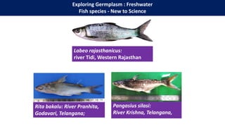 REGIONAL WORKSHOP ON FISHERIES AND MARINE GENETIC RESOURCES AND THEIR ...