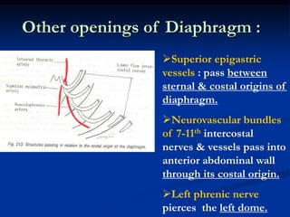 02-diaphragm-master_Dr.Sanaa.ppt