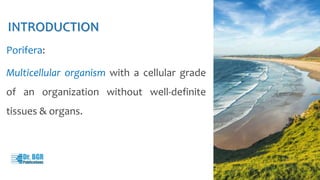 General characteristics of Porifera | Dr.BGR Publications | PPTX