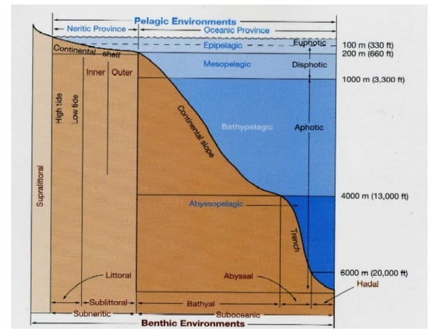 02- Ecosystems of the World complete.pptx
