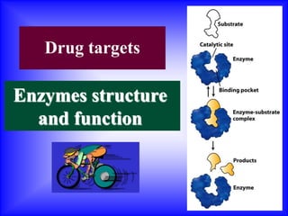 02- Enzymes structure and function.pptx