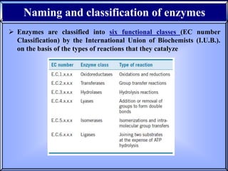 02- Enzymes structure and function.pptx