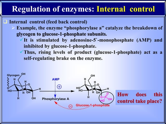 02- Enzymes structure and function.pptx